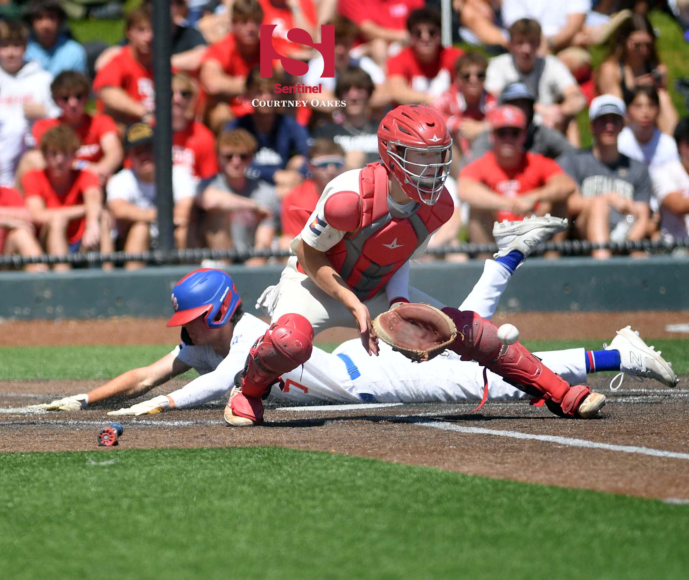 Baseball: Regis Jesuit drops first shot at 5A state title with 11-1 ...
