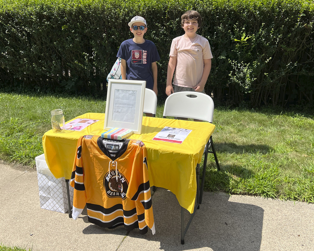 Town officials shut down a boy's ice cream stand. Fundraisers and death ...