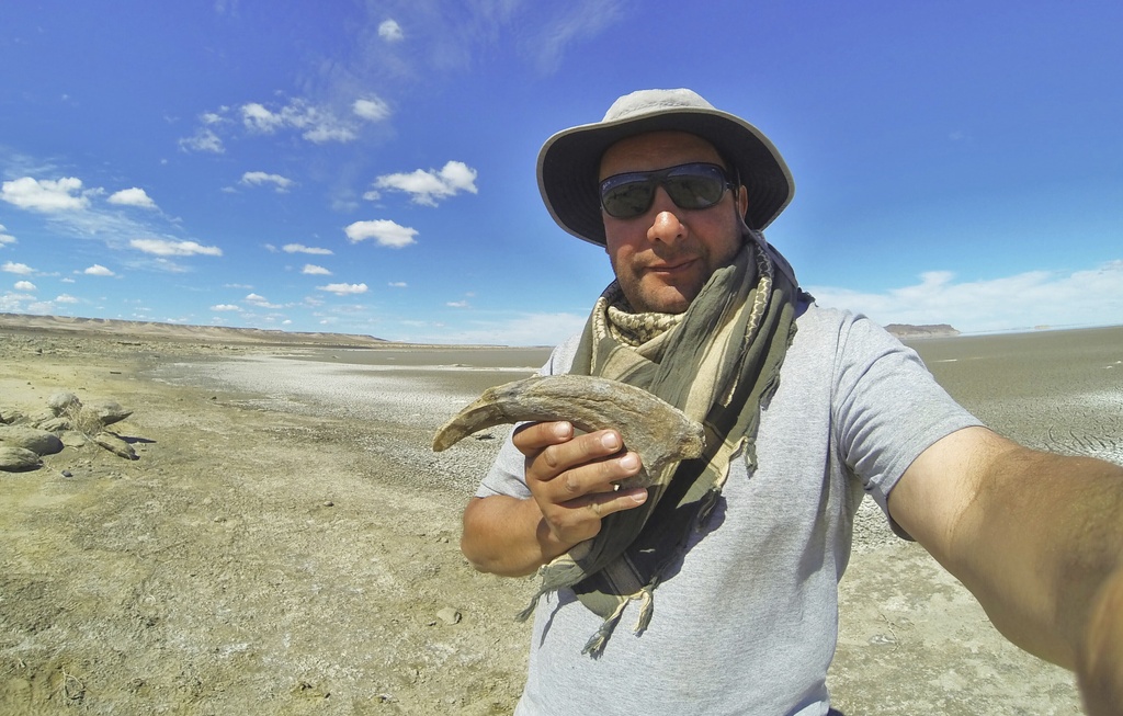 Scientists discover a new dinosaur from Argentina with a crocodile bone ...