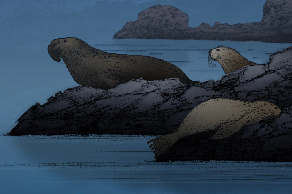 Nodding off is dangerous. Some animals have evolved extreme ways to ...